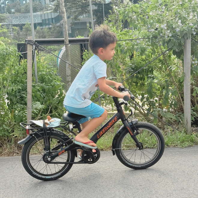 KOKUA Bikes - The Gold Standard for Children's Balance and Pedal Bikes ...